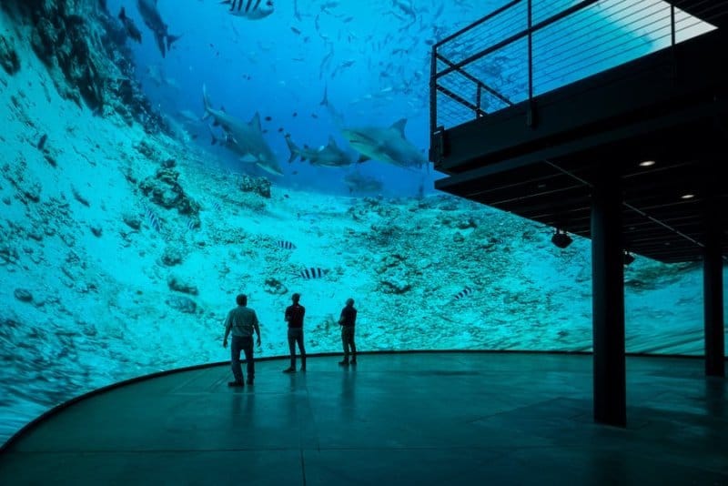 Immersive LED Displays: A Visual Experience Like No Other