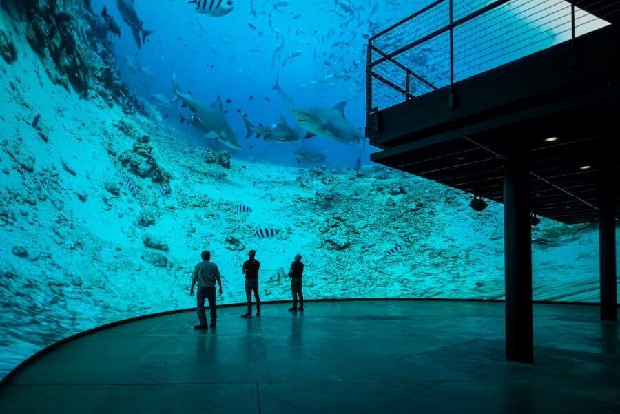 Immersive LED Displays: A Visual Experience Like No Other